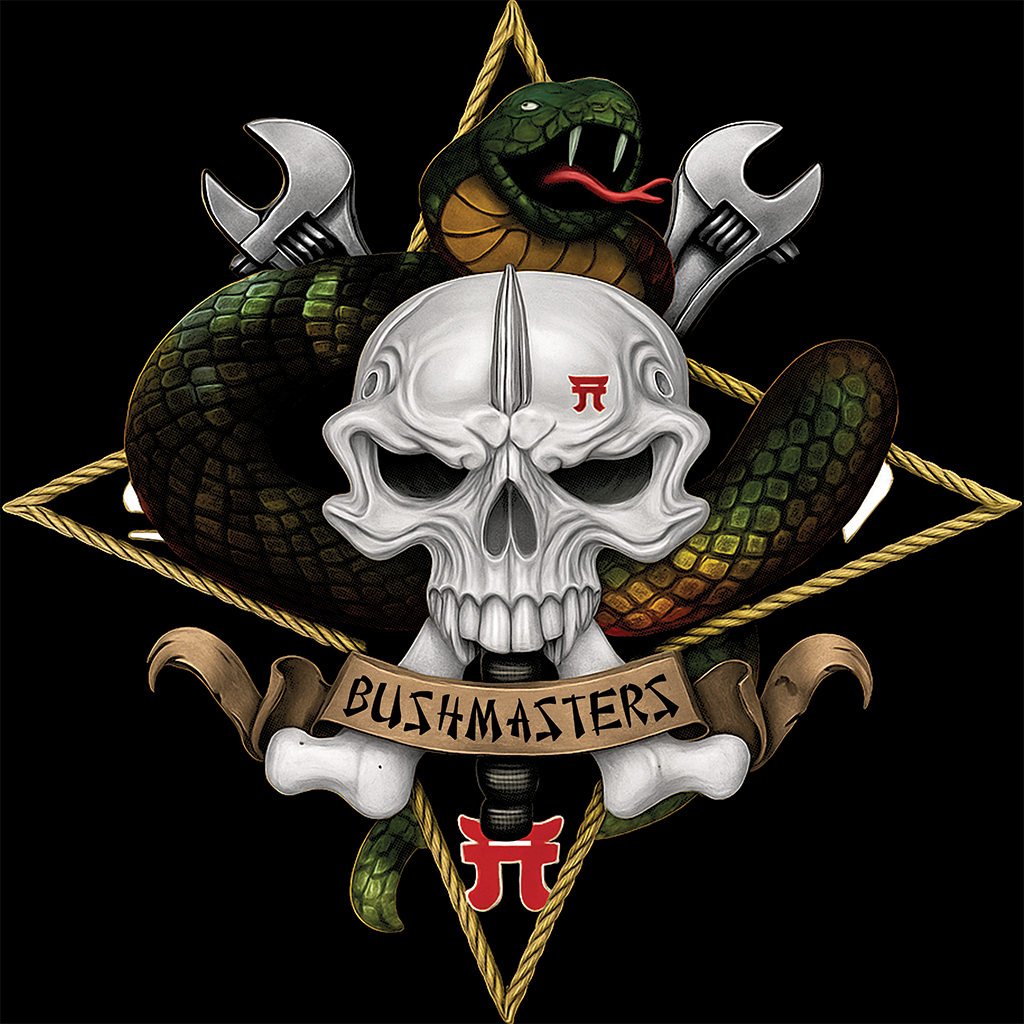 "BUSHMASTERS" B/626th Light Support Battalion